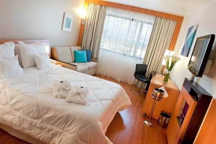 Hôtel Ibis Rio De Janeiro Santos Dumont - Rio de Janeiro