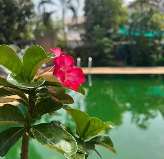 Hotel The Royal Shilton Resort - Chiang Mai