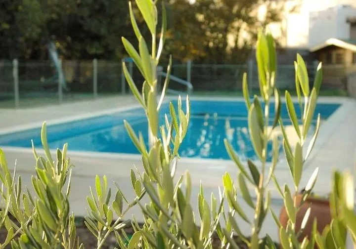 Hotel Ibis Salon De Provence Sud - Salon-de-Provence