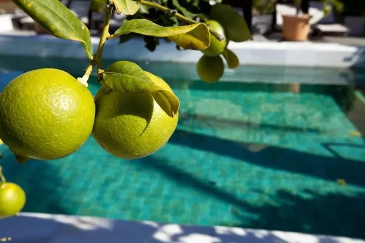 Hôtel Rio Real Golf & - Marbella
