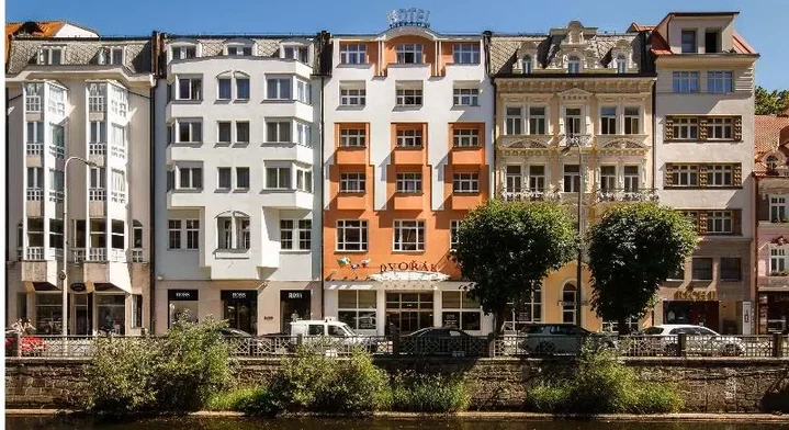 Hôtel Dvorak Spa & Wellness - 卡羅維瓦利