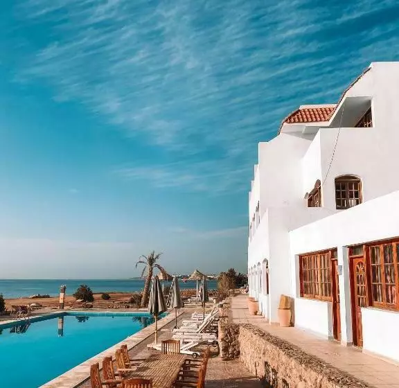 Hôtel Serenity Lodge - Sharm El-Sheikh