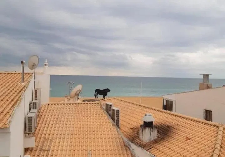Hôtel Edificio Sequeira By Portugalferias - Albufeira