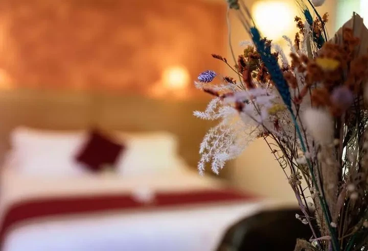 Hôtel Logis Hôtel Restaurant Les 2 Rives   A75, En Bordure De Rivière - Lozère