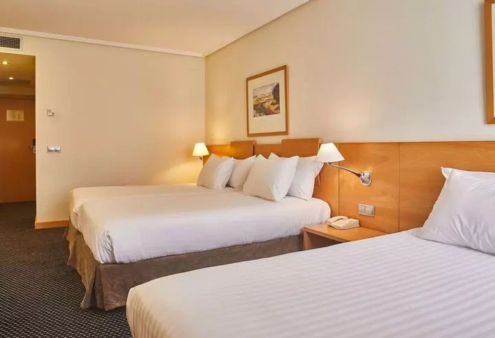 Hotel Eurostars Rey Alfonso X - Ciudad Real