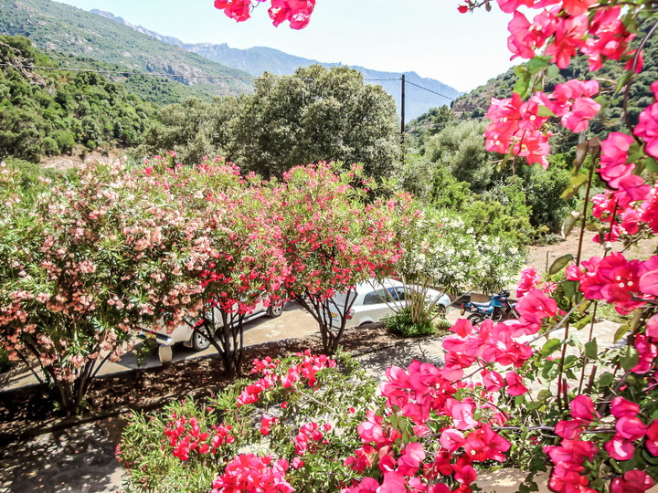 Residence Cabanaccia Studio 38m² - Corsica