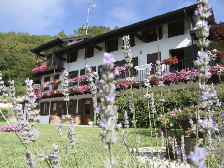 Duck's Cottage Für Einen Dolomitenurlaub - Alleghe