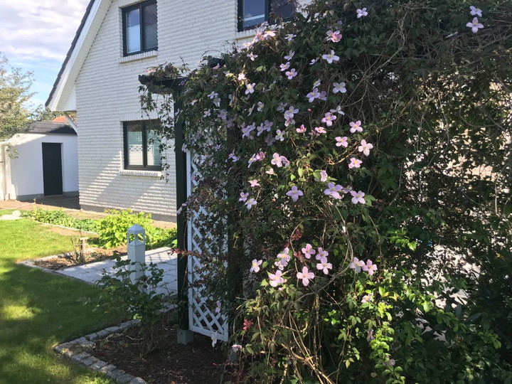Wohnung Am Stadtrand - Greifswald
