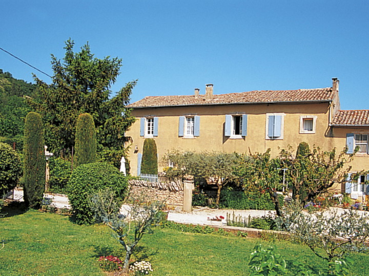 Le Cèdre - Vaucluse