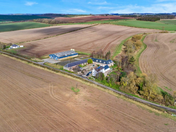Millfield Farm - Angleterre