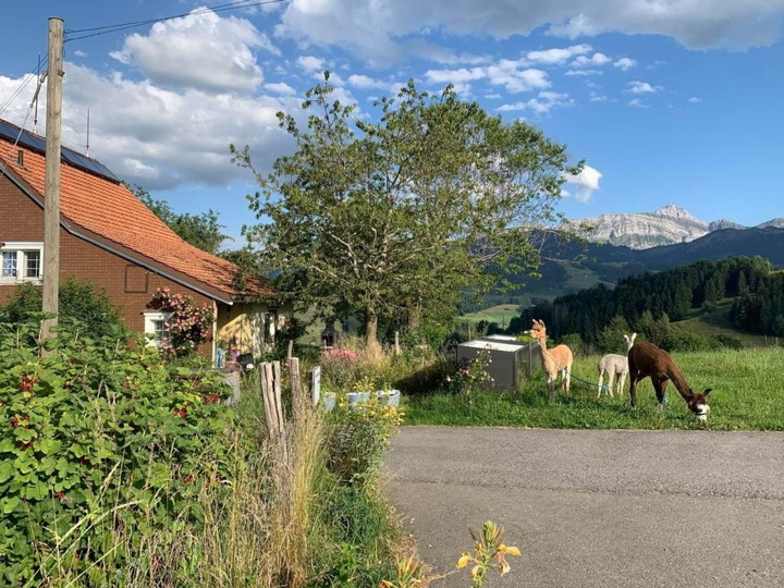 Tiererlebnishof Windegg - Gossau