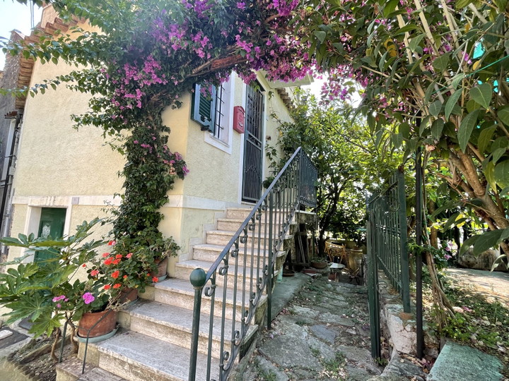 Casa Del Pernambuco (Ptl205) - Pietra Ligure