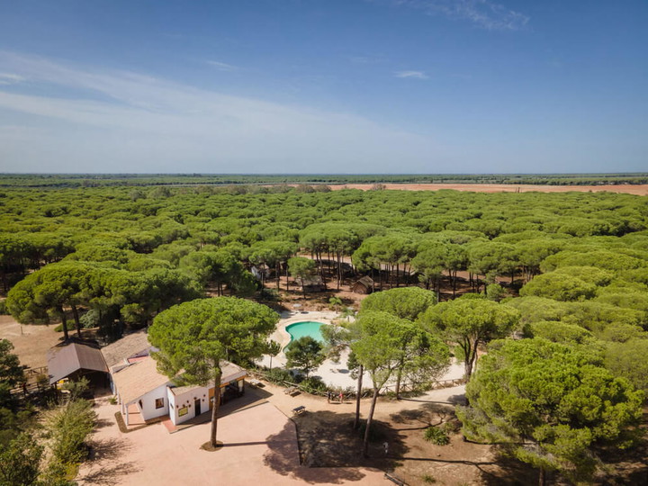 Parque De Doñana - Portugal