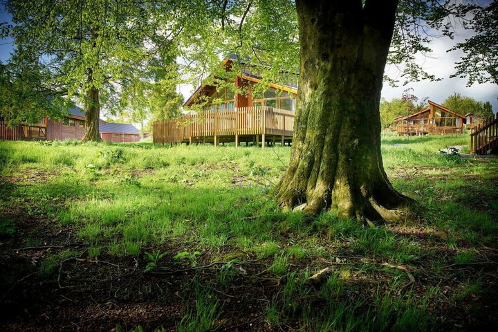 Forest Of Dean Meadow - Golden Oak, Coleford - Symonds Yat