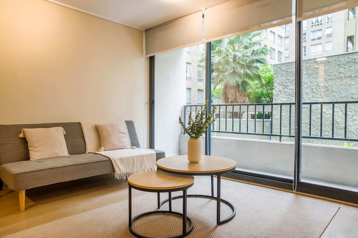 Spacious Apartment In Central Santiago With Gym - Santiago
