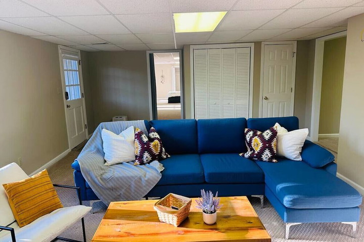 Private, Huge Walk-out Basement, Great Location - Alpharetta