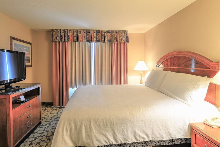 Pet-friendly Room W/ Free Breakfast | King Suite | Outdoor Pool, Free Parking - Missouri City