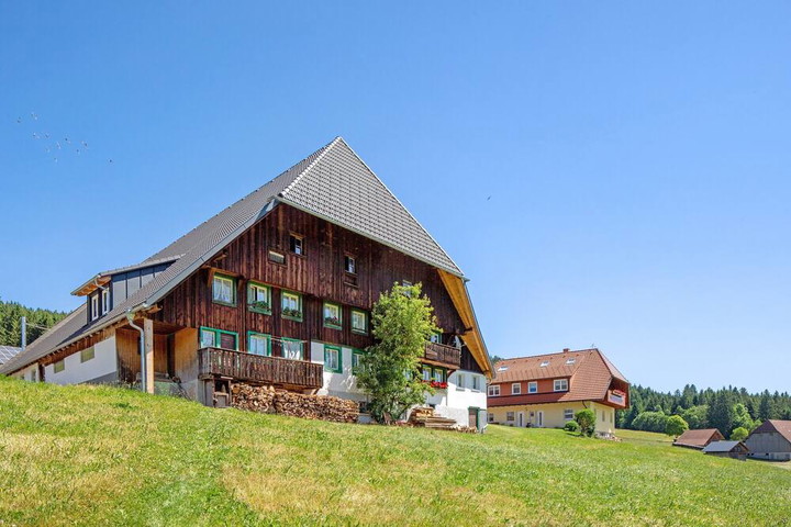 Holiday Apartment 'Heuboden' With Mountain View, Shared Garden - Titisee-Neustadt
