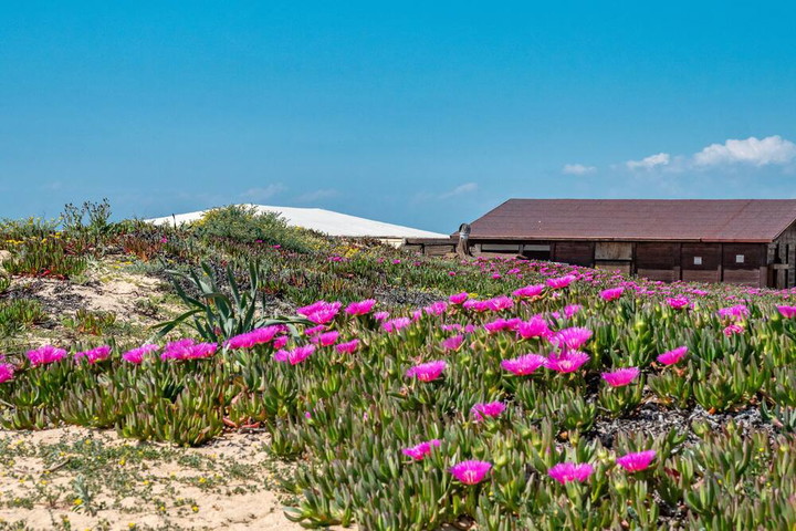 Maison De Vacances 'Precioso Chalet A Pie De Playa' Avec Vue Sur Mer, Wi-fi Et Climatisation - Punta Umbría