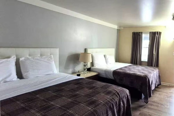 2 Pet-friendly Rooms Near South Holland Metro | Convenient I-94 Access - Homewood