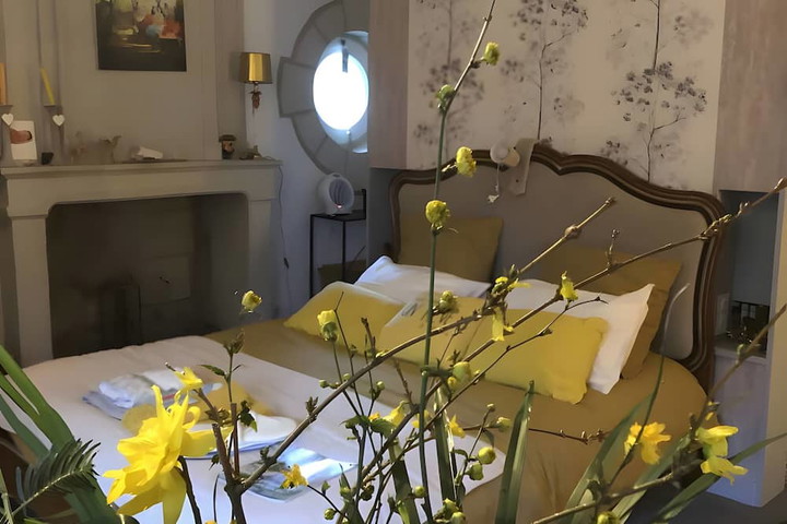Suite Chambre Des Voyageurs Guest Room With Lake View, Shared Terrace, And Wi-fi - Angers
