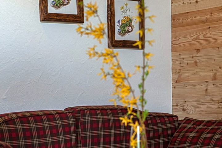 Chalet Eco-lodge Faè - Chalet Belvedere - Madonna di Campiglio