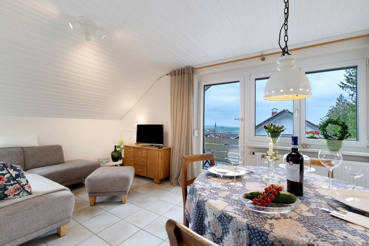 Apartment 'Holiday Apartment, 60 Sqm' With Balcony And Wi-fi - Tübingen
