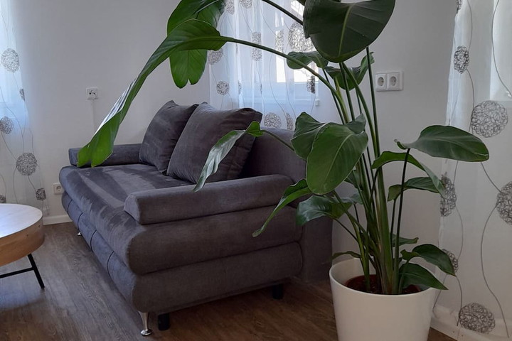 Apartment 'Alte Schmiede' Mit Privater Terrasse, Gemeinschaftsgarten Und Wlan - Emmendingen