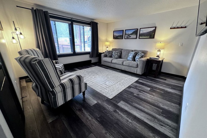 Silver Street Condos - Unit 2 - Explore The Alpine Loop ️ - Lake City, CO
