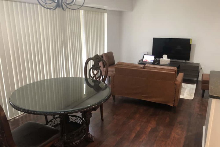 Beautifully Furnished 1 Bedroom Mclean Condo Near Tysons Corner - Fairfax, VA