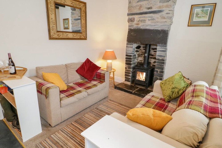 Dolwen, Animaux Acceptés, Avec Feu Ouvert à Penmachno - Snowdonia