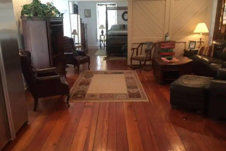1831 House In Historic Old Towne Petersburg, Va - Petersburg, VA