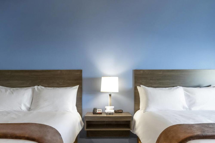 Pet-friendly Room W/ Free On-site Parking | Near Caraway Plaza - 존즈버러