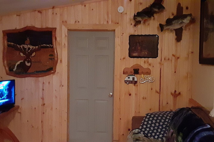 Billy Bear -3 Bed 2 Bath Wifi 3 Roku Tv,s Dvd Players Sleeps 4 - Georgia, GA