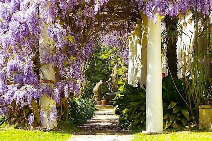 Norman Lindsay Cottage | Wilderness Cabin, A/c, Bbq, Smart Tv, Norman Lindsay Gallery Estate - Springwood