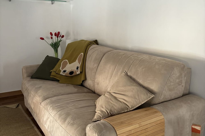 Alla Vigna Apartment In A Historic Villa With Private Parking - 바사노델그라파