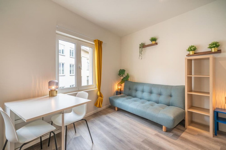 Apartamento En El Centro De Amberes - Brasschaat