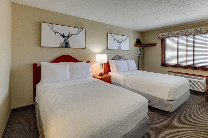 Outdoor Pool, Hot Breakfast, Deluxe 2 Queen, Stoney Creek Quad Cities - Galena, IL