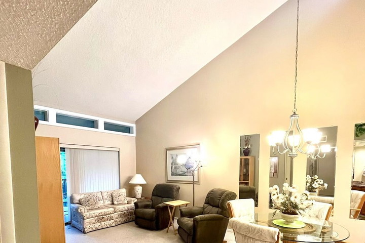 Cozy 2br Condo W/pool In Gated Community. Close To Beaches/resturants/shopping - Palm Harbor