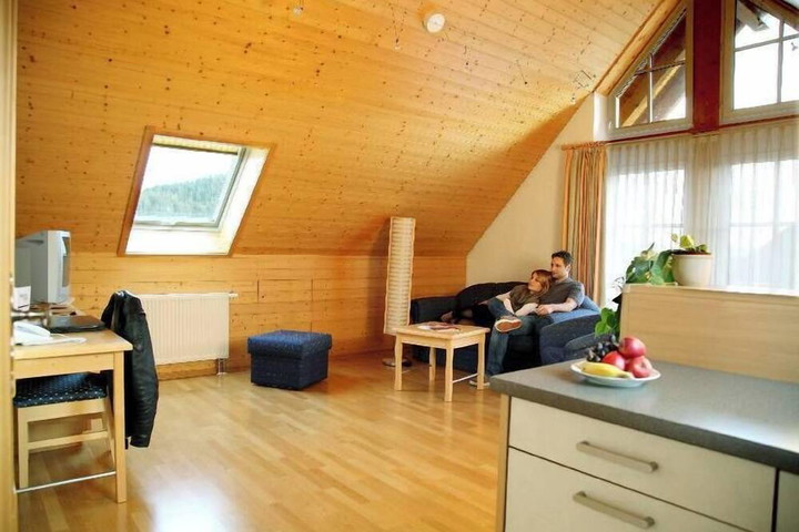 Apartment (Wood Grouse/ Pheasant/ Snow Finch) (Typeb) - Titisee-Neustadt