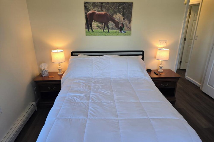 5-bedroom Home On Working Horse Farm In Historic Fort Edward Ny - Glens Falls, NY