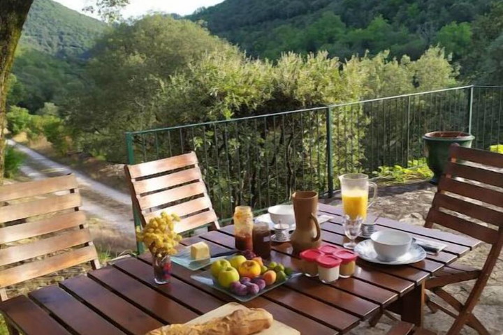Gîte Cévennes: Piscine, Lamas, Rivière - Saint-Hippolyte-du-Fort