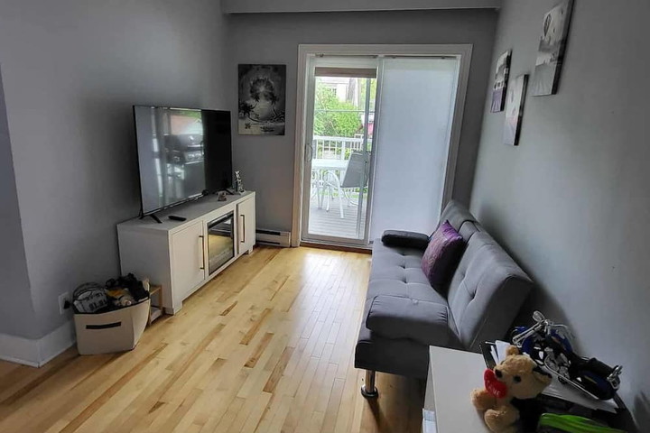 Montreal Lower Luxurious Duplex - Montreal