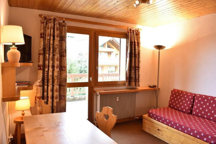 20m From Ski Slopes, 1st Floor, Swimming Pool, Balcony, Tv, Ski Locker, 24m², Méribel - Méribel
