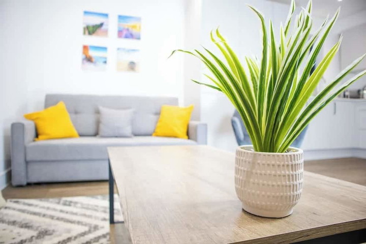 Brighton Penthouse Apartment Near Beach & Kemptown - Brighton