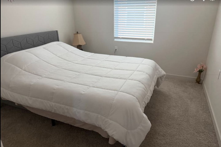 Charming Brand New 3 Bedrooms Home On Scarlet - Merced