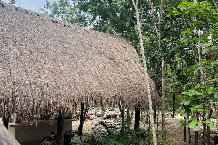 Cabañas En Medio De La Selva Maya De Tulum Con Alberca Tipo Cenote - Riviera Maya