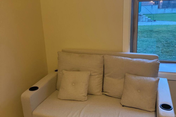 Pet Friendly 1bd In Arena District With Event Parking - Détroit, MI