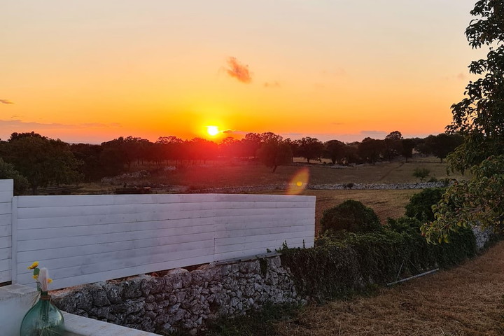 Stunning Exclusive Villa With Pool Surrounded By Nature, Pets Allowed - Noci