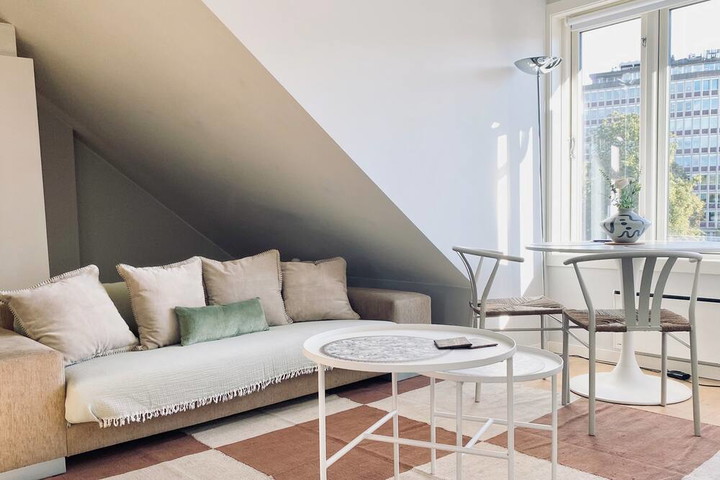 Refined And Ultra-central Apartment. - Oslo